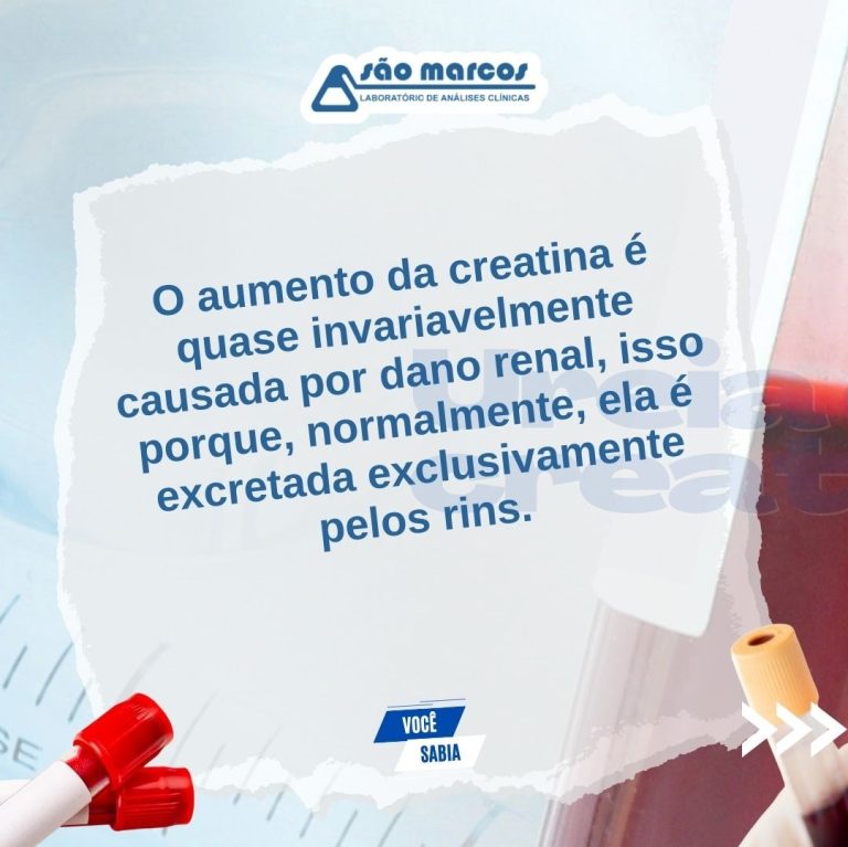 Saiba como é feito o exame de ureia e creatinina - Laboratório São Marcos