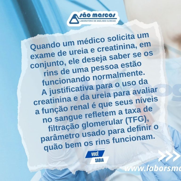 Saiba como é feito o exame de ureia e creatinina - Laboratório São Marcos